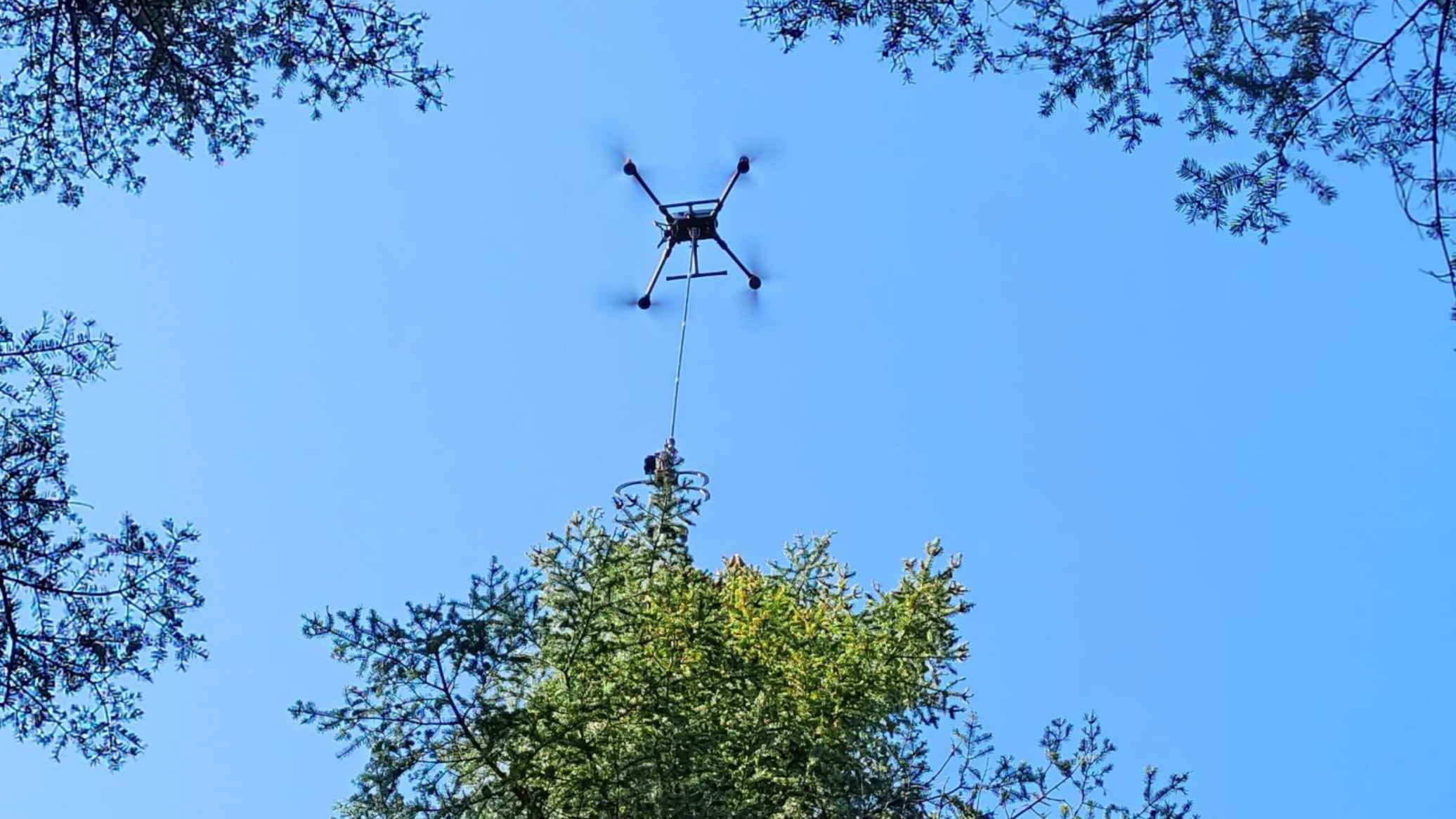 Sampling crowns to manage pests – can new enabled robotic technologies ...