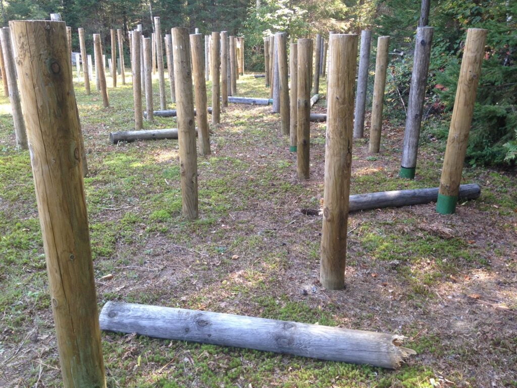 Tried and true: Proper use of preserved wood - FPInnovations