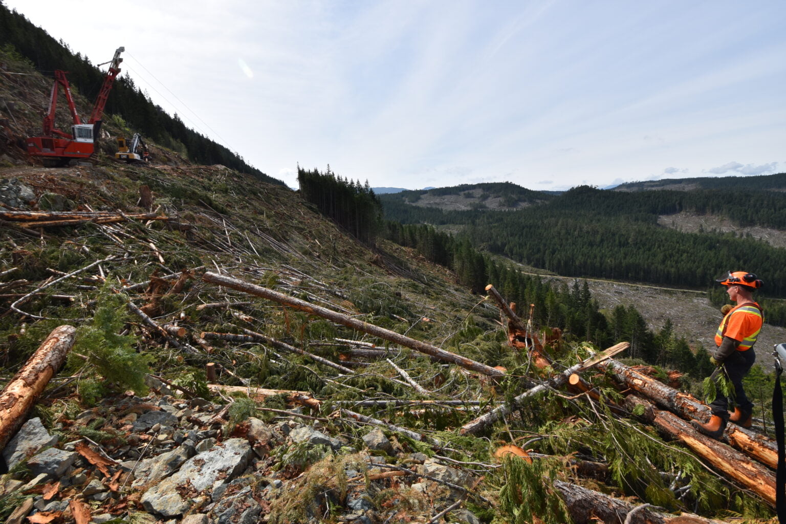 Alternative forestry equipment: Lighter can be better - FPInnovations